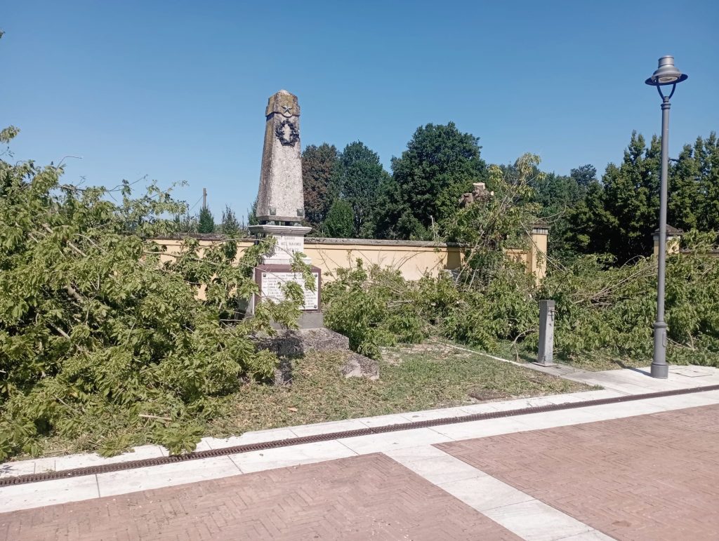 Cizzolo: abbattuti gli aceri del monumento, danneggiati dal maltempo ...
